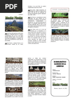 Triptico de Pasco | PDF | Alimentos | Naturaleza