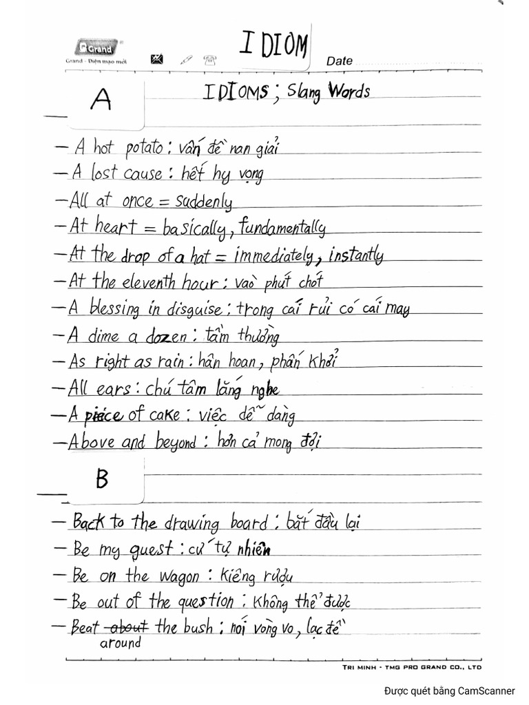 Idioms, Slang Words | PDF