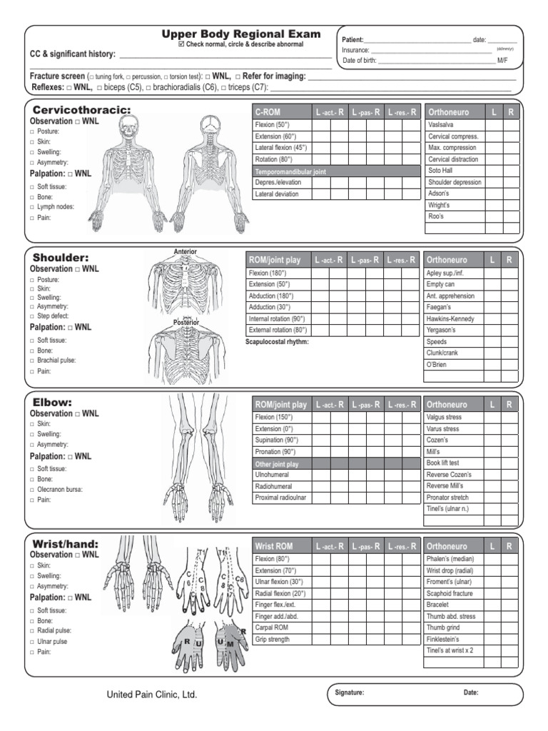 Upper Body Regional Exam | PDF | Anatomical Terms Of Motion | Thumb