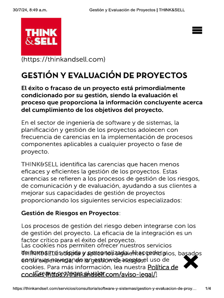 Gestión y Evaluación de Proyectos - THINK&SELL | PDF