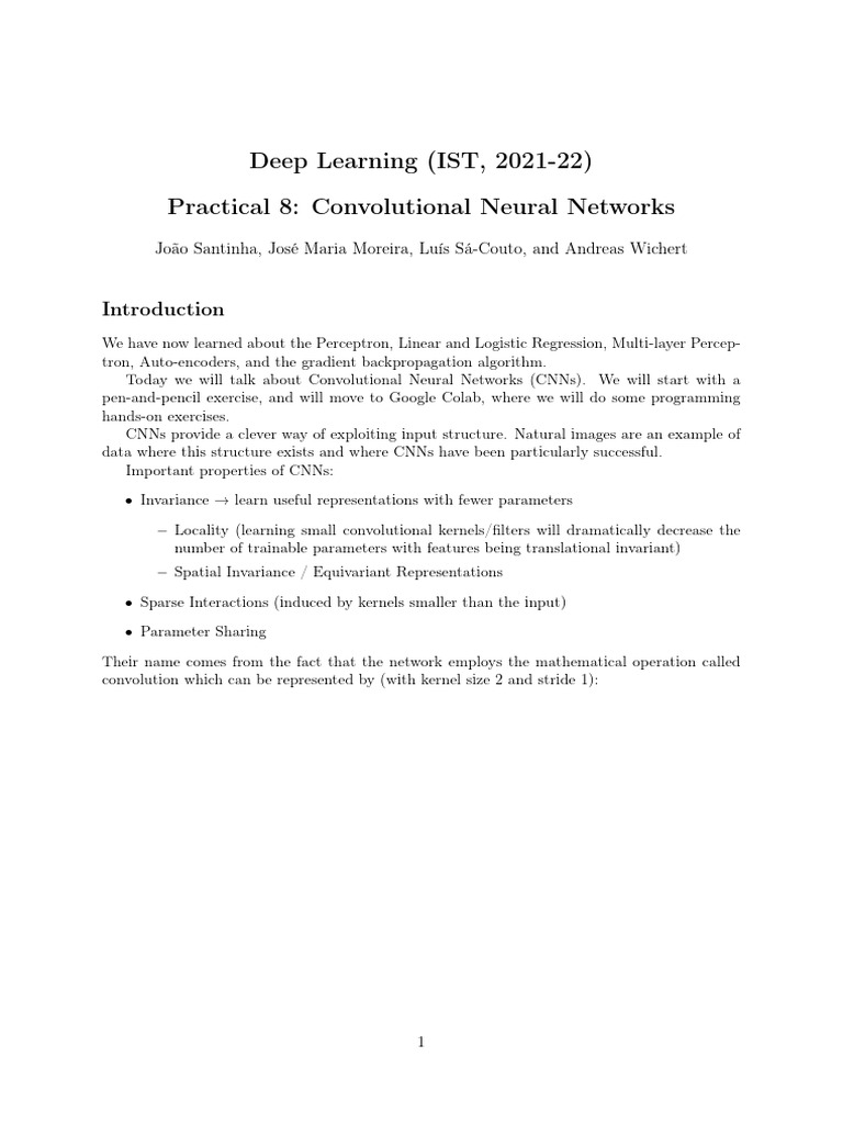 Practical 08 Solutions | PDF | Artificial Neural Network | Algorithms