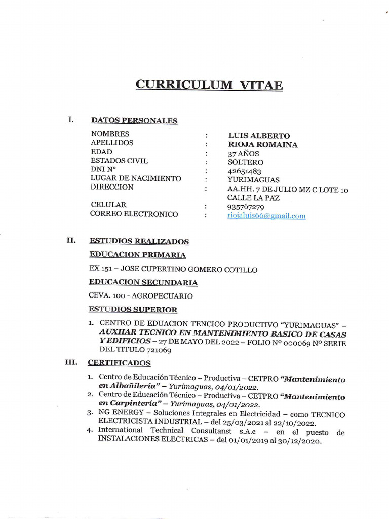 CV Luis | PDF