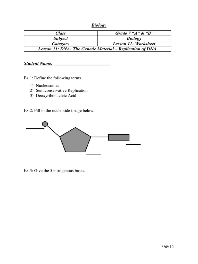 Lesson 11 - Worksheet PDF | PDF