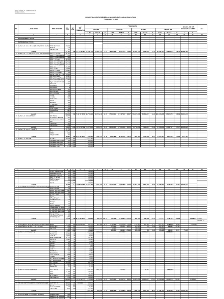 Rekap Data Munisi | PDF