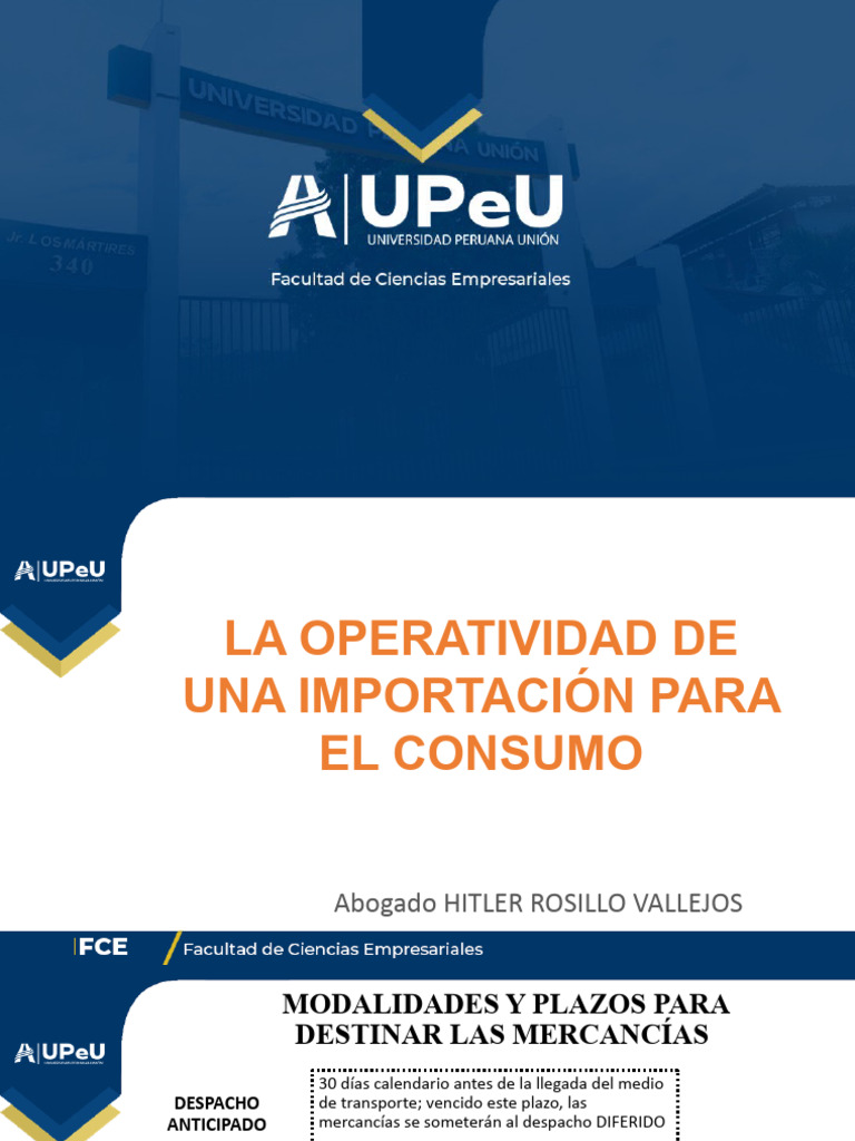 Importación y Despacho Aduanero en Perú | PDF | Economias