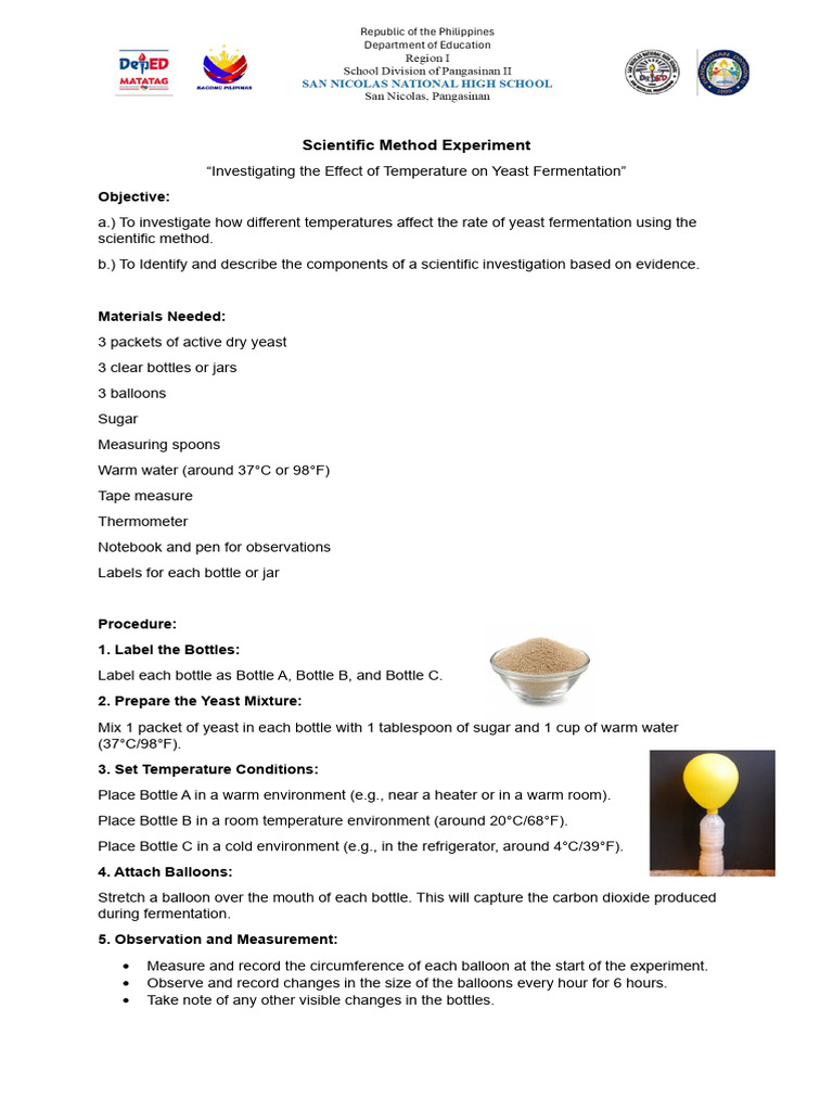 Performance Task #1 - Scientific Method (Yeast Fermentation) - Ste 7 | PDF | Experiment | Yeast