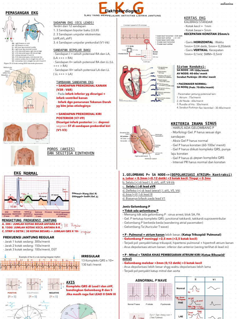 Panduan Lengkap Elektrokardiografi EKG | PDF