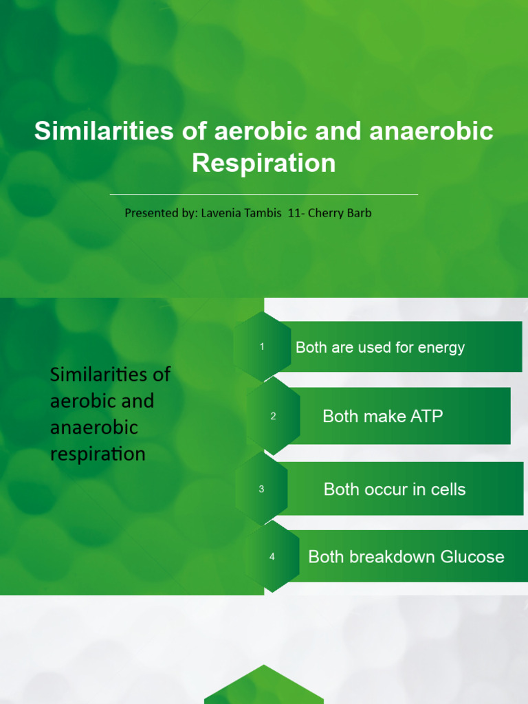 Aerobic vs. Anaerobic Respiration Similarities | PDF | Self-Improvement ...