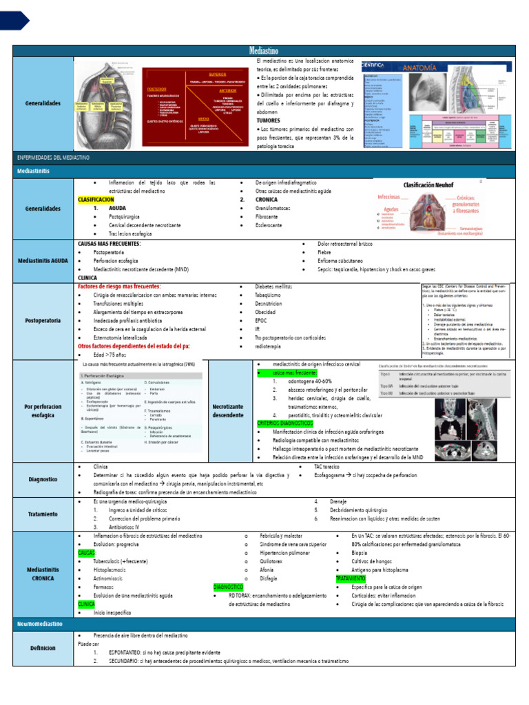 Mediastino | PDF | Neoplasias | Linfoma