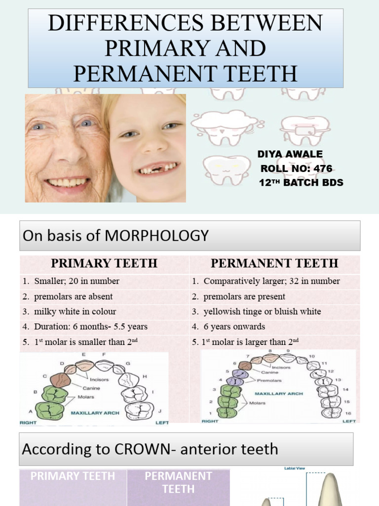 Diff Betn Primary & Permanent Teeth | PDF | Dental Anatomy | Dentistry Branches