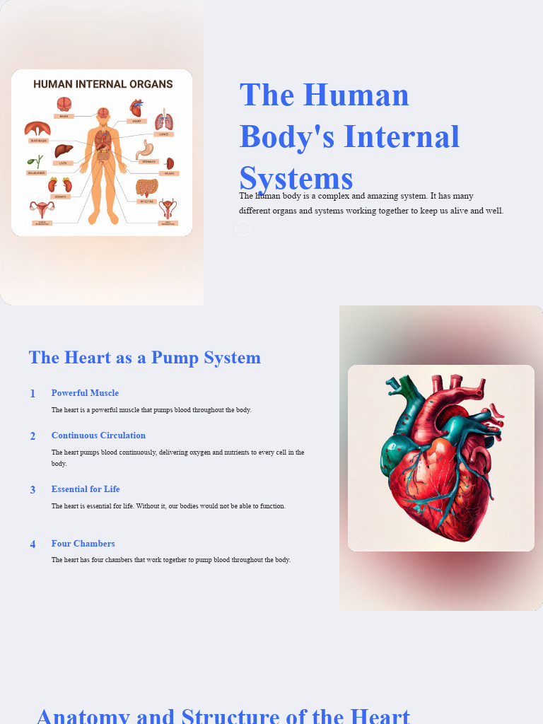 The-Human-Bodys-Internal Systems | PDF | Human Body | Kidney