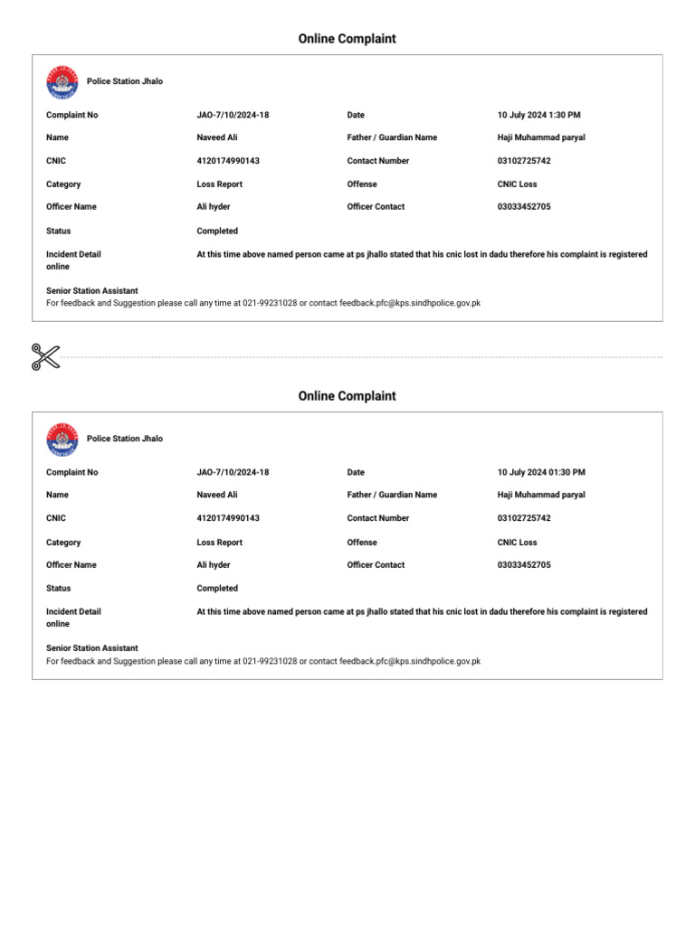 Lost Report | PDF