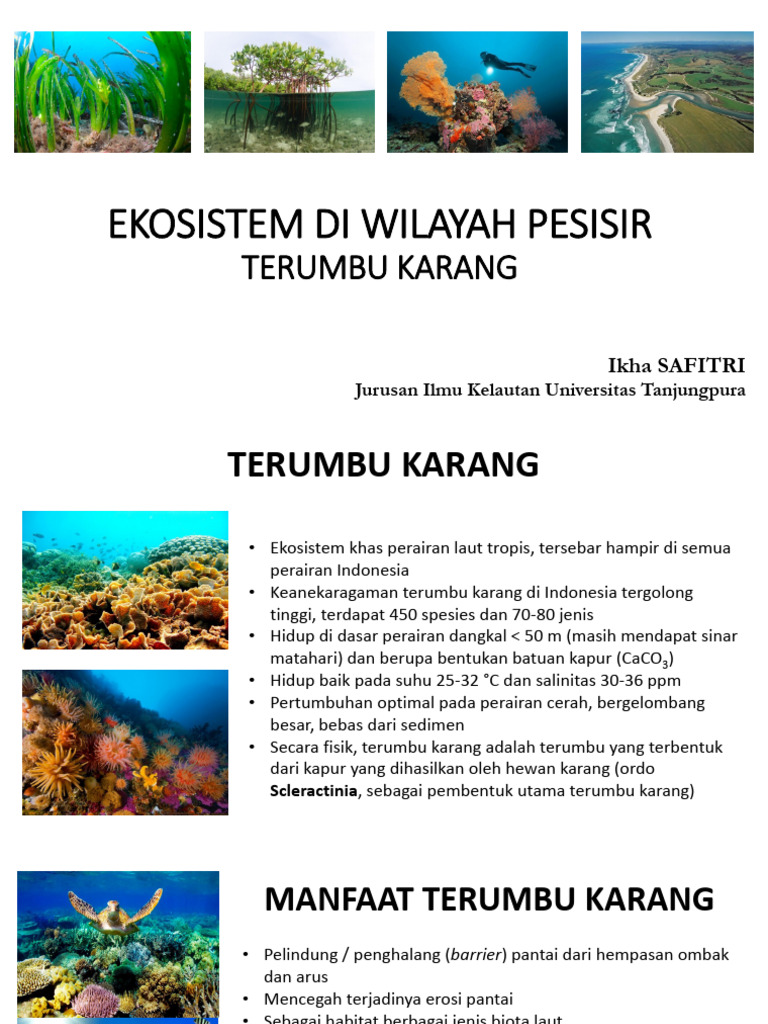 3 - Ekola - Ekosistem Terumbu Karang | PDF | Sains & Matematika