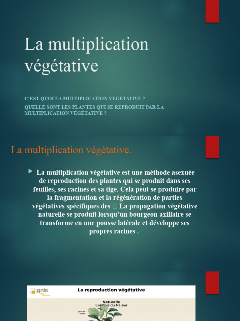 La Multiplication Végétative | PDF