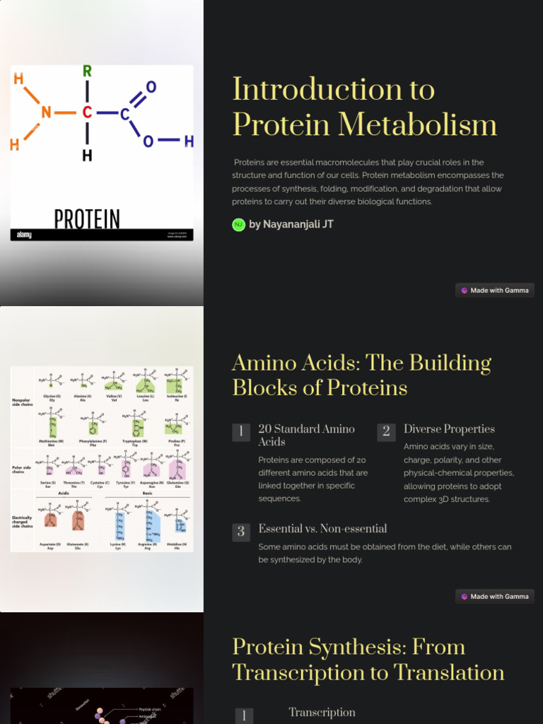 Introduction To Protein Metabolism | PDF | Proteins | Translation (Biology)