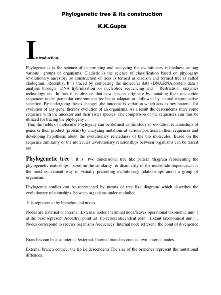 Phylogenetic Tree Construction | PDF | Phylogenetic Tree | Phylogenetics