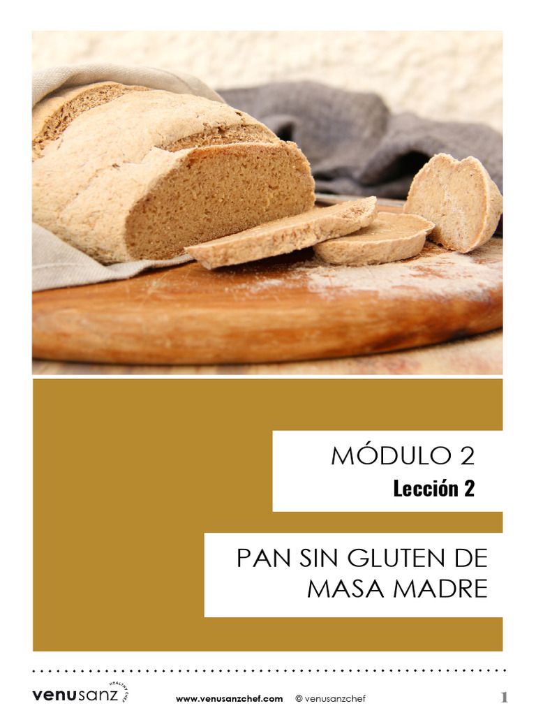 Mod2 L2 PAN SIN GLUTEN DE MASA MADRE Ok2 | PDF | De masa fermentada | Panes