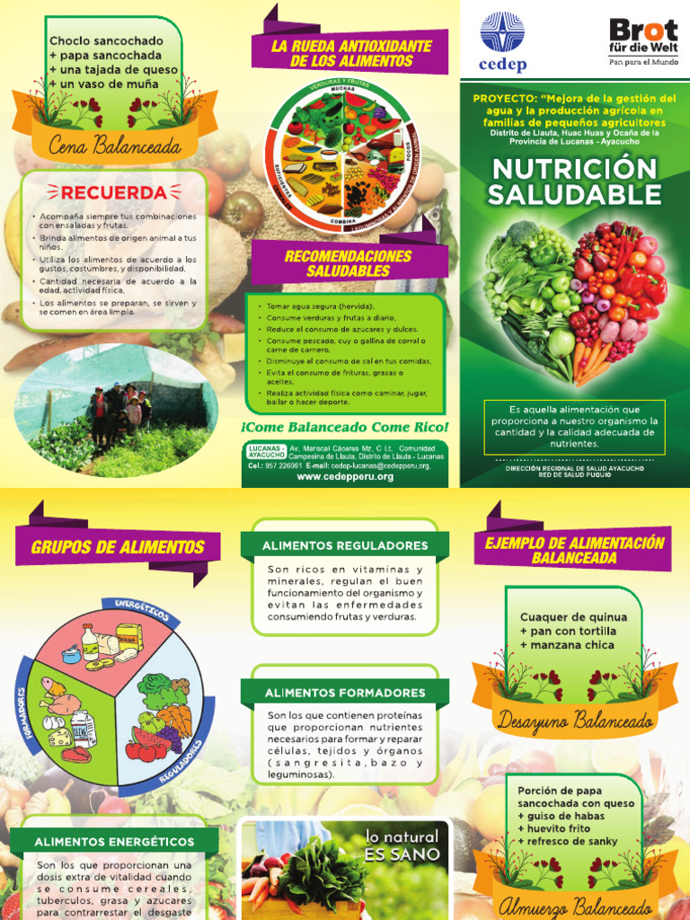 Triptico Nutrición Saludable | PDF