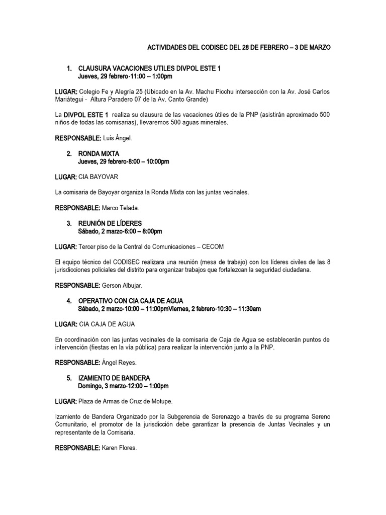 ACTIVIDADES DEL CODISEC DEL 28 de Febrero | PDF