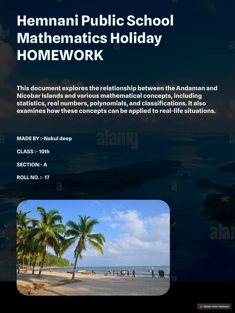 Hemnani Public School Mathematics Holiday HOMEWORK | PDF | Numbers | Integer