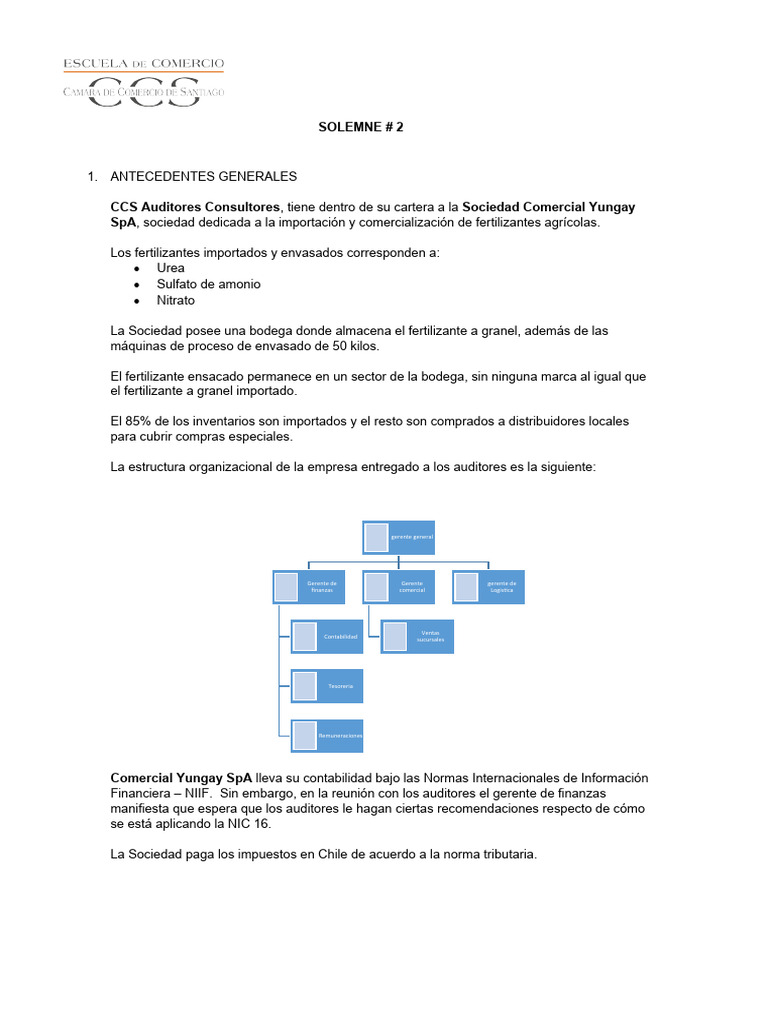 1 Auditoria Caso Comercial Yungay SpA | PDF | Auditoría | Business