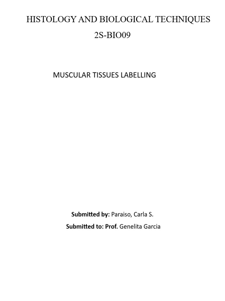 Nervous and Muscular Label | PDF
