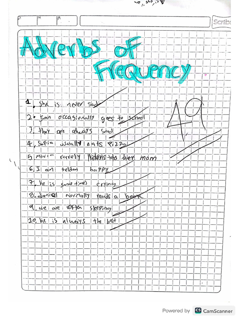 3.2 Adverbs of Frequency | PDF