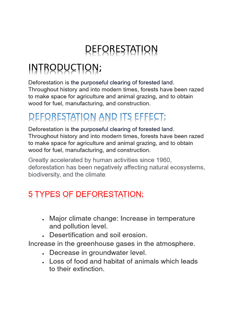Deforestation 2 Pdf Deforestation Logging