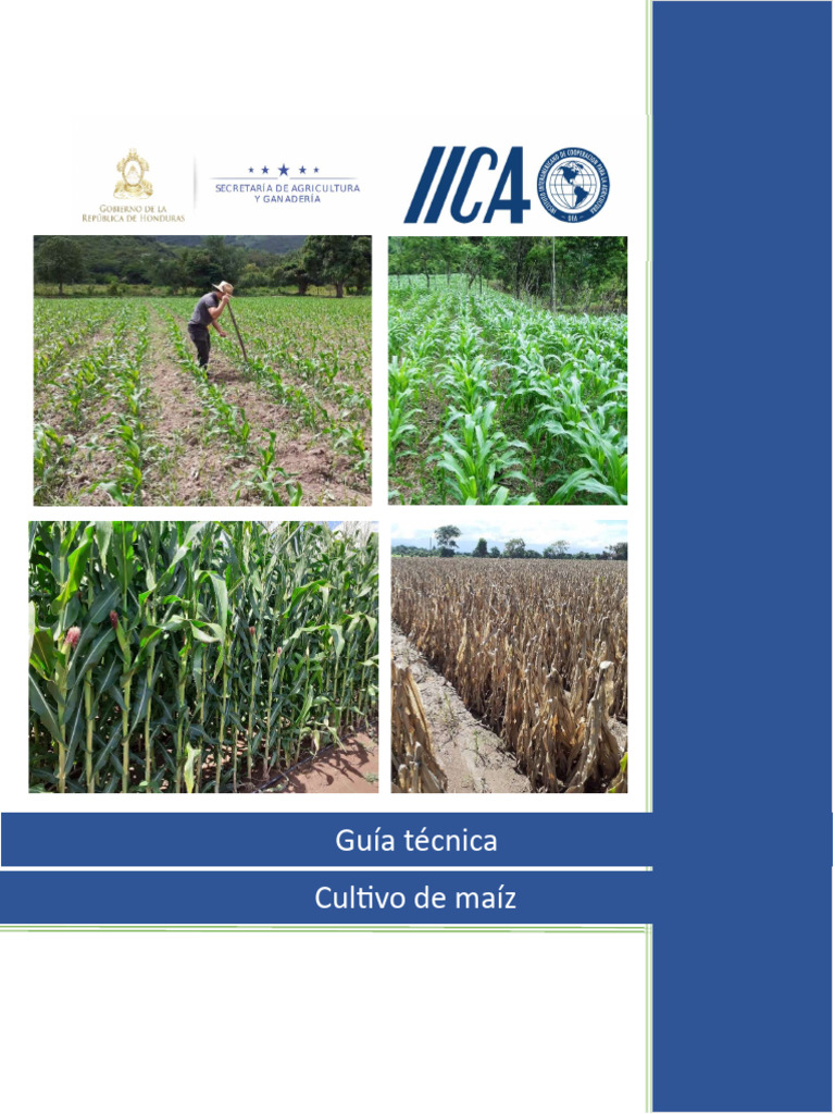 Guía Técnica Para El Cultivo De Maíz Pdf Agricultura Fertilizante