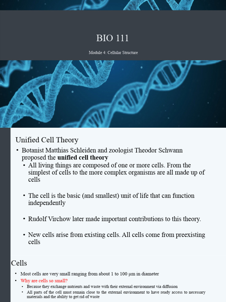 Celluar Structure | PDF | Cell (Biology) | Endoplasmic Reticulum
