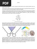 Acinetopsia | PDF | Enxaqueca | Percepção visual