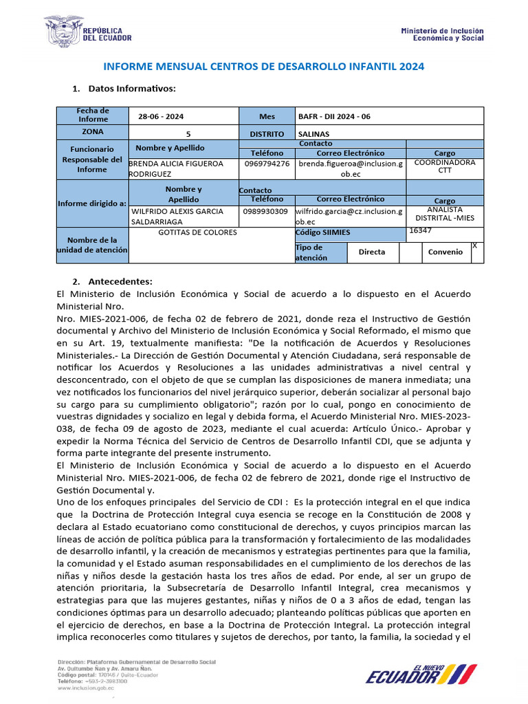 Brenda Modelo Informe Cdi Actualizado Junio 2024 | PDF