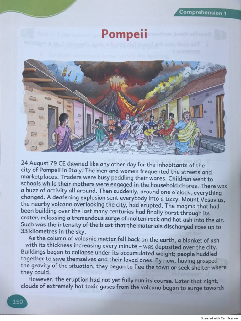 Class 5 Comprehension | PDF