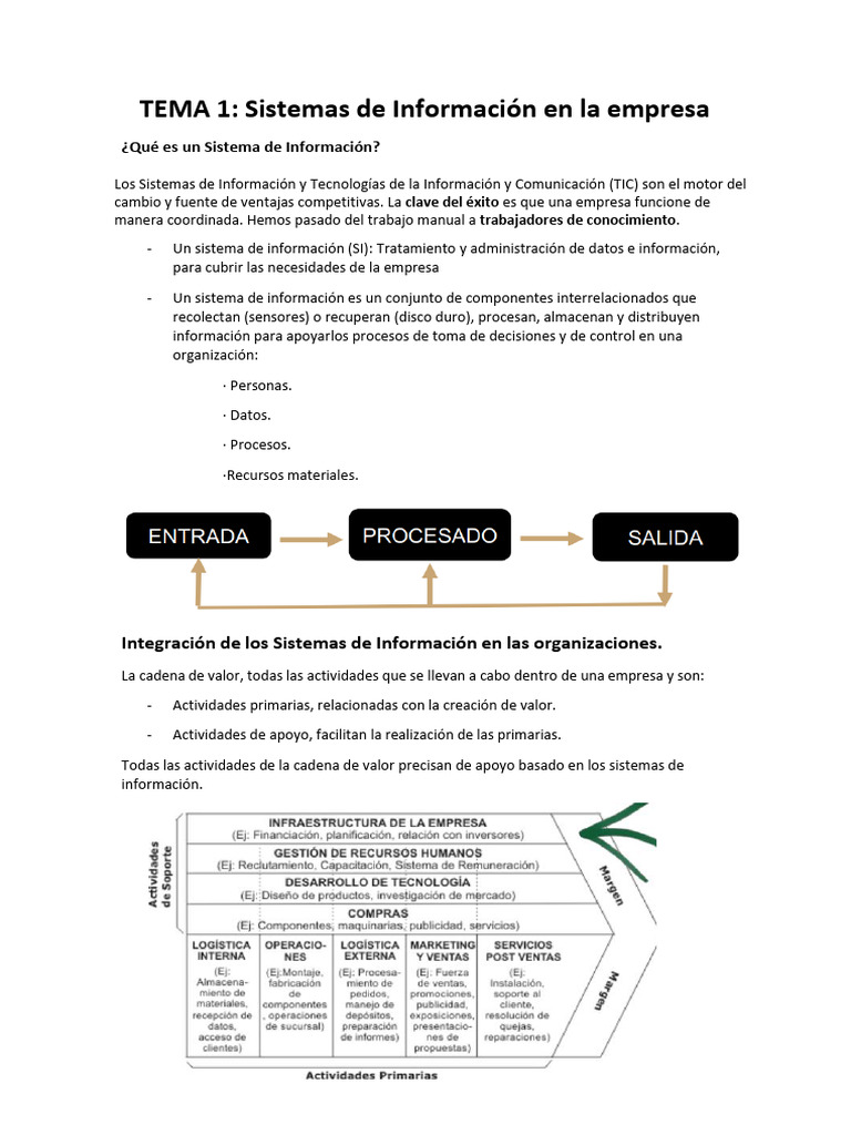 Tema 1 Sistemas de Información | PDF | Sistema de informacion | Información