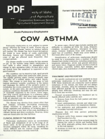 Cattle Respiratory System Overview | PDF | Lung | Respiratory Tract