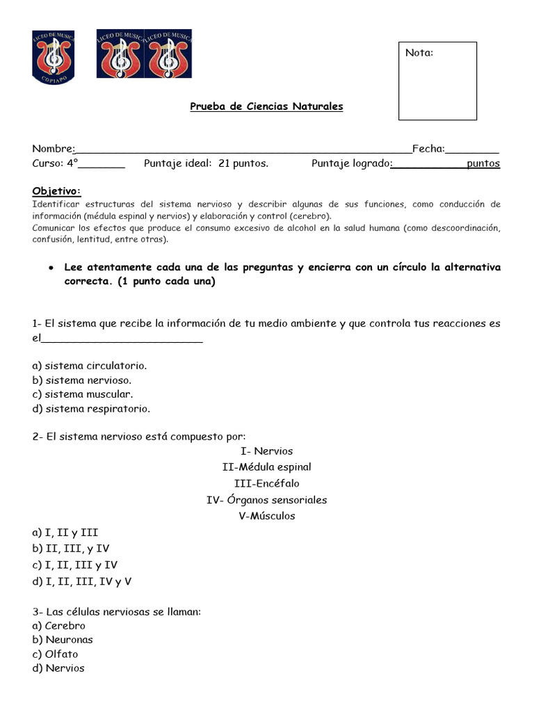 Prueba Sistema Nervioso | PDF | Sistema nervioso | Cerebro Prueba Sistema Nervioso | PDF | Sistema nervioso | Cerebro