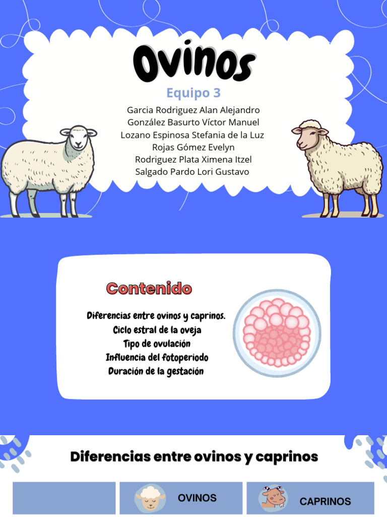 Ovinos Zootecnia - 20240410 - 121311 - 0000 | PDF | Zoología | Reproducción