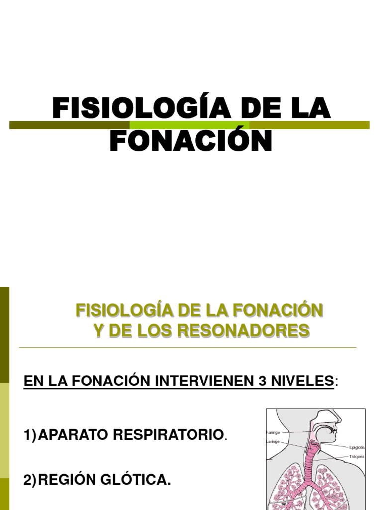 Fisiologia de La Fonacion | PDF | Sonido | Laringe