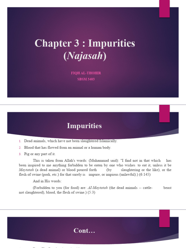 CHAPTER 3 - Impurities (Najasah) | PDF | Feces