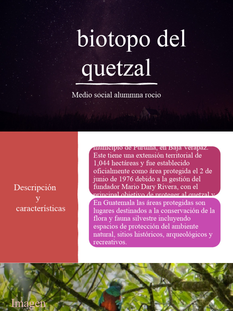Biotopo del Quetzal en Purulhá | PDF | Ciencia y matemáticas | Tecnología