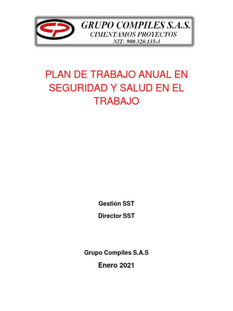 Plan de Trabajo Anual en Seguridad y Salud en El Trabajo | PDF | La seguridad