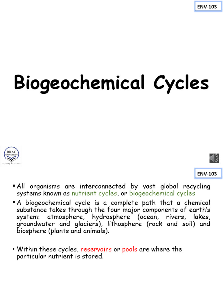 L6. Biogeochemical Cycle | PDF | Nutrients | Carbon Cycle