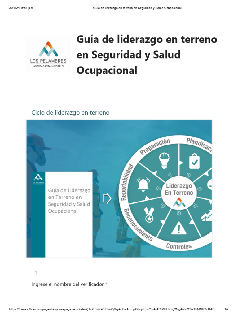 Guía de Liderazgo en Terreno en Seguridad y Salud Ocupacional | PDF