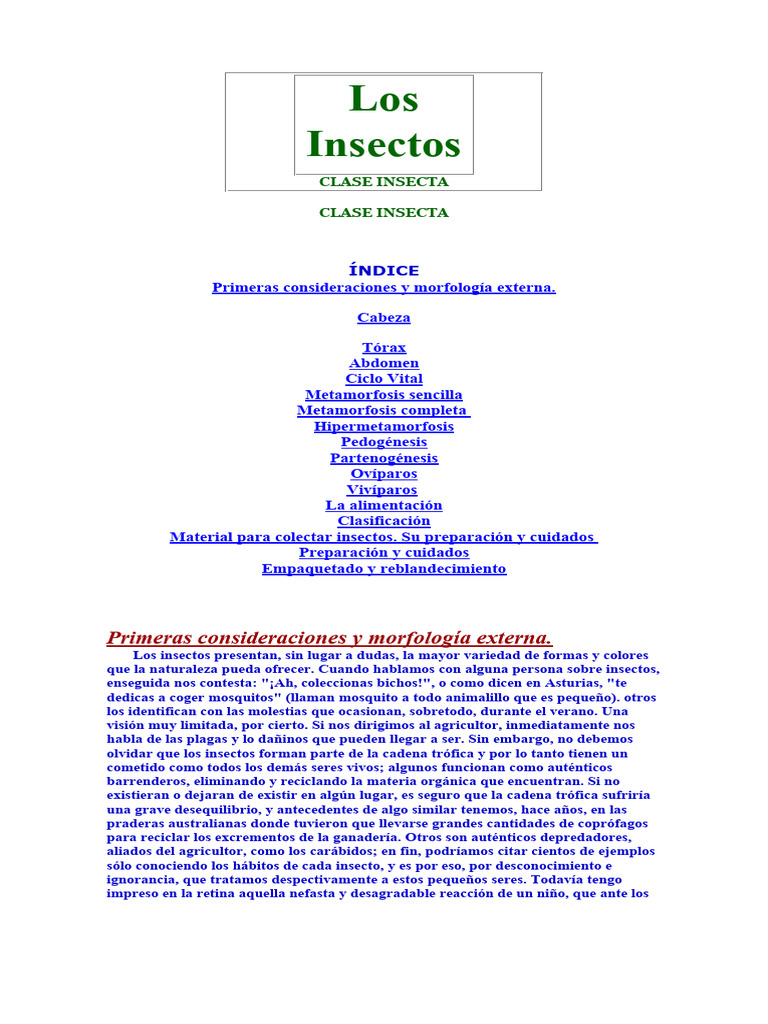 Los Insectos | PDF | Mosca | Insectos
