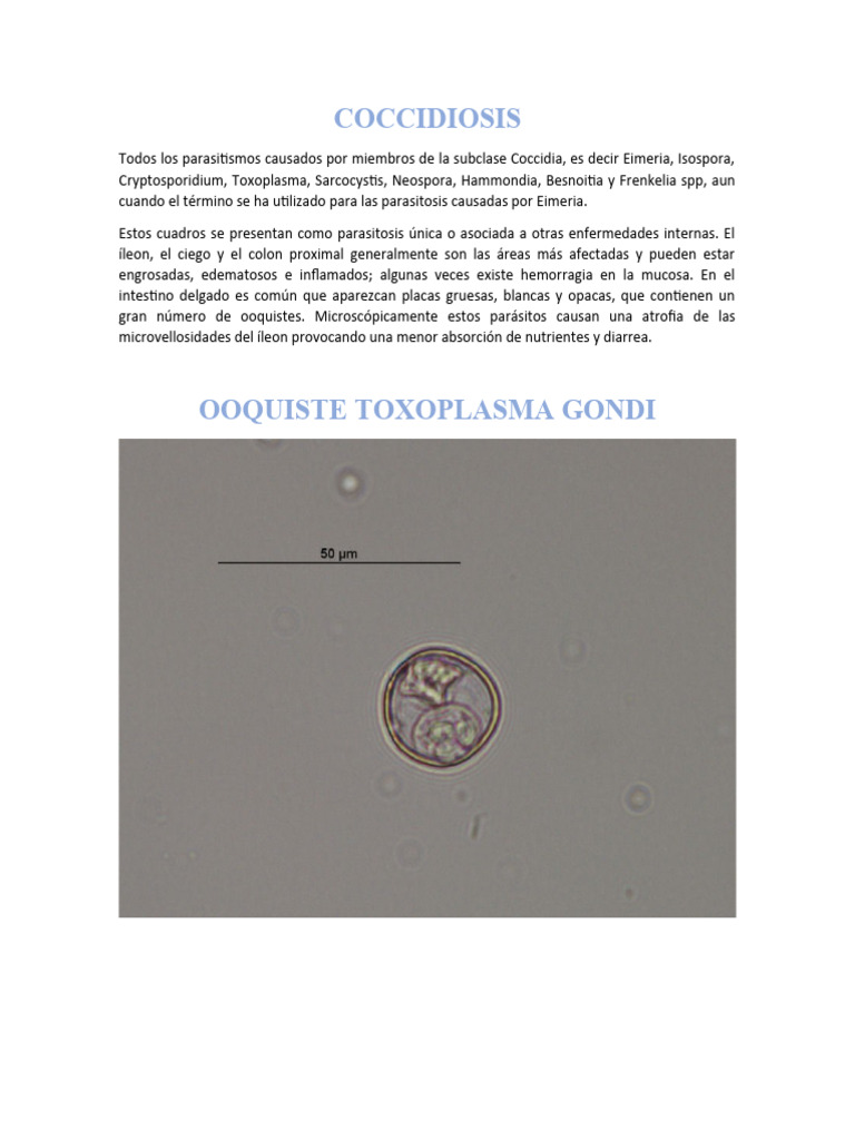 COCCIDIOSIS | PDF