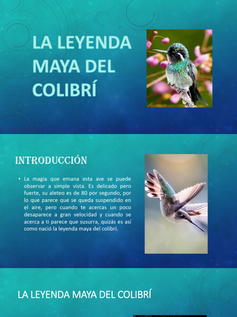 La Leyenda Maya Del Colibri | PDF