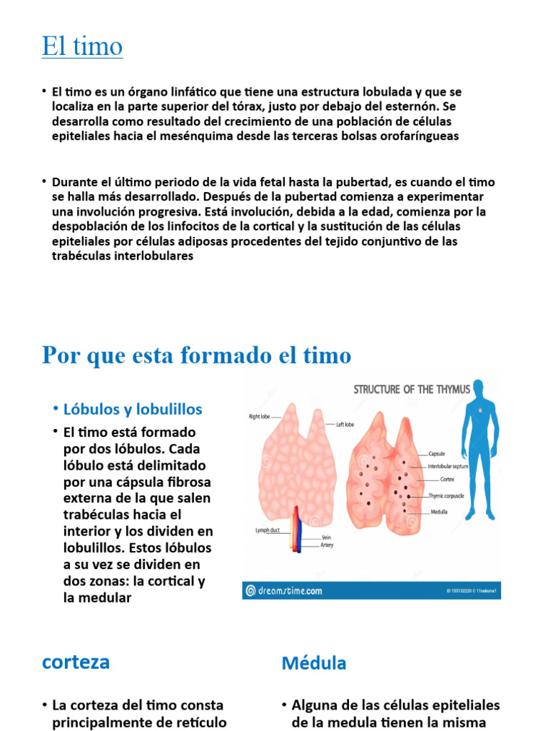 El Timo | PDF | Ciencia y matemática