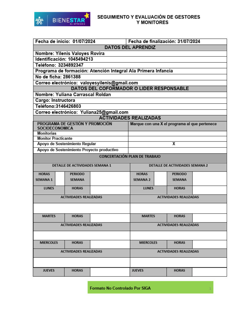 Planilla Informe Monitorias | PDF