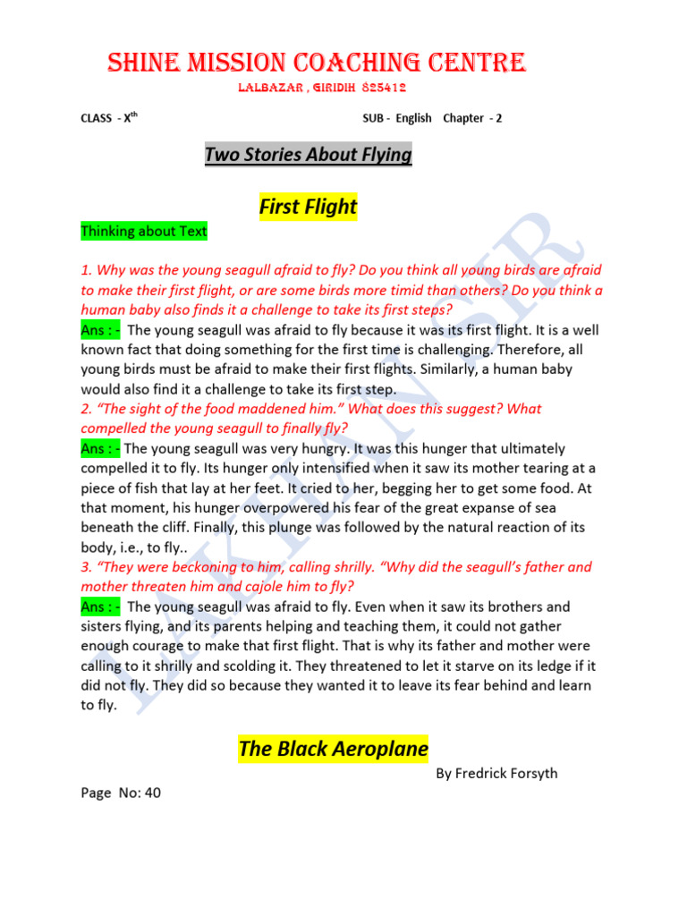 CLASS XTH Two Stories About Flying | PDF