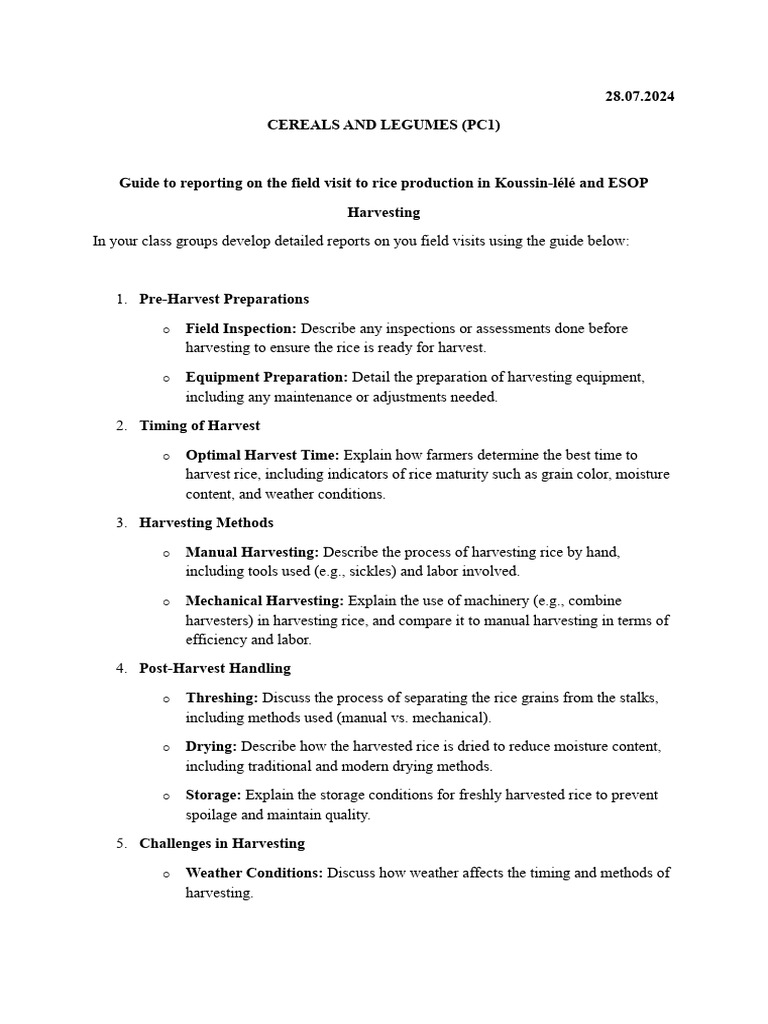 Assignment Guide - Rice Harvesting | PDF | Rice | Agriculture